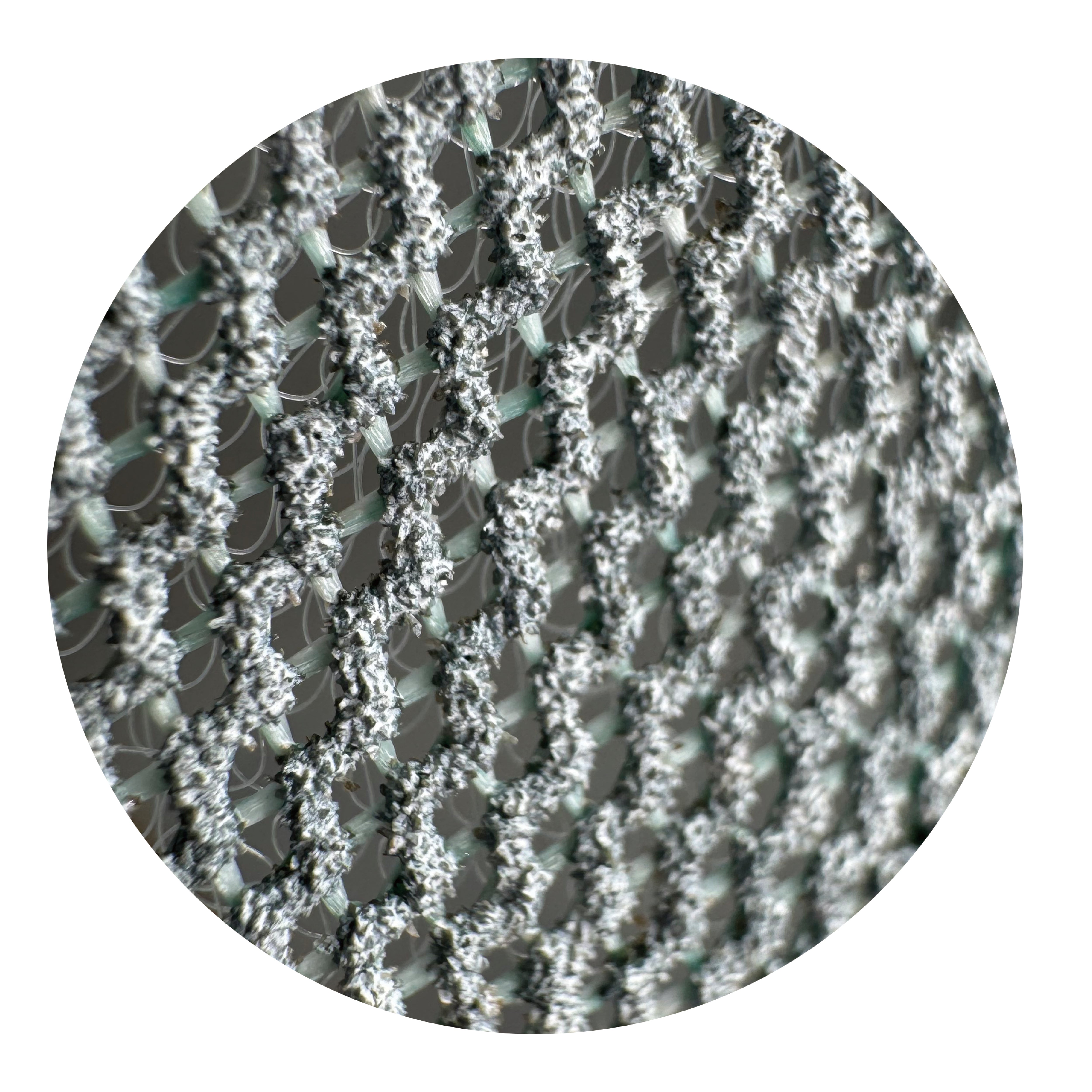 Mesh/Net Velcro Discs – tigersharkabrasives